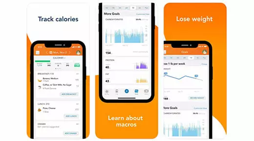 Ma'imau! - Fa'ata'ita'iga o le talosaga a le Calorie Counter