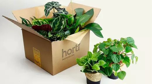 Horti