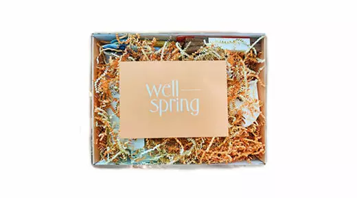 I-Wellspring Holiday Box