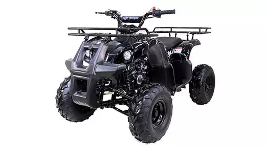 I-TaoTao Brand New ATA-125D Kids Gas Utility ATV yentsha