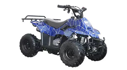 I-DONGFANG 110cc Egcwele Igesi Ezenzakalelayo 4 Wheeler ATV Yezingane