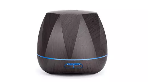 Mahinungdanon nga Oil Diffuser