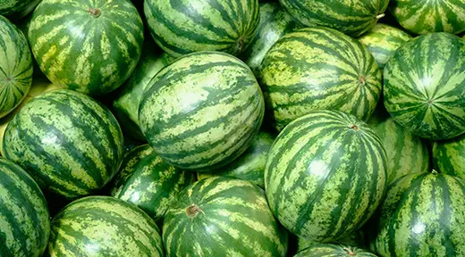 Wassermelonen