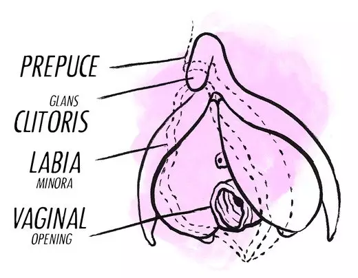 The Orgasm Gap: Zomwe Ili ndi Chifukwa Chake Muyenera Kuzisamalira 1568_1