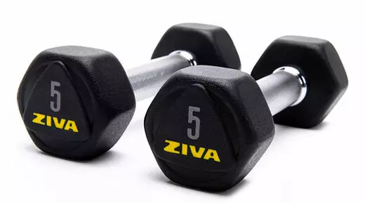 ZIVA ProFTÂ Dumbbell Set