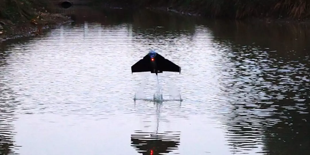 Ang U.K. Naghimo ug Flying Fish Robot nga Makaalsa sa Kaugalingon Gikan sa Tubig