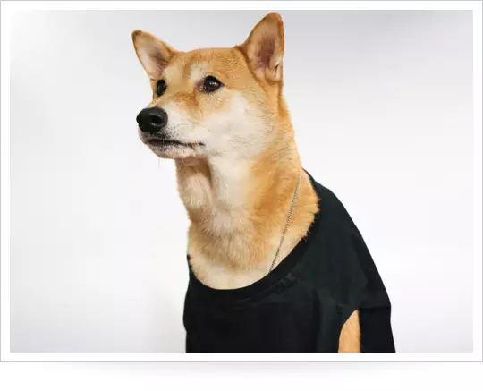 Menswear Dog: Gym Outfits 42563_2