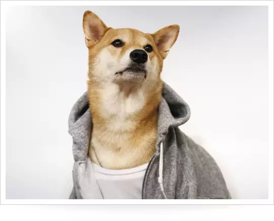 Menswear Dog: Cilên Gym 42563_3