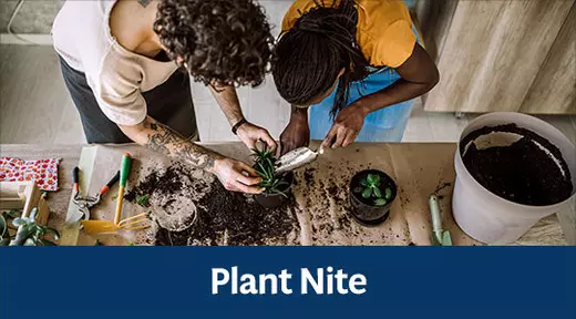 Plant Nite