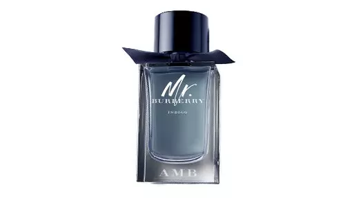 Mr. Burberry Indigo Eau de ToiletteÂ