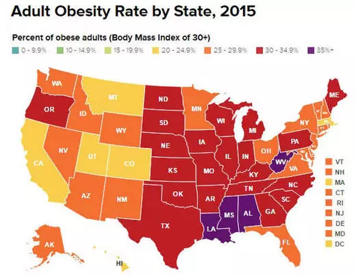 Amerikan Obezite Rekor Düzeylere Ulaştı 84581_1